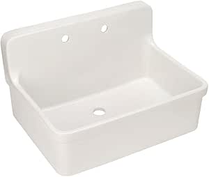 Gilford 30 In. x 22 In. Bracket-Mounted Scrub-up/Plaster Sink with 8 In ...