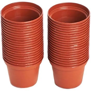 Amazon.com: 100 New 2 Inch Plastic Nursery Pots ~ Pots are 2.15 Inch ...