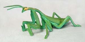 Amazon.com: Praying Mantis plastic 6 1/2 inches long - F2060 B134: Toys ...