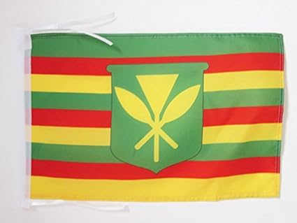 Amazon.com : AZ FLAG Hawaii Kanaka Maoli Flag 18'' x 12'' Cords ...