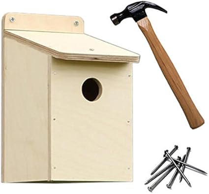 Nestbox Co Wooden Bird Box Self Assembly DIY Kit with 25mm Entrance ...