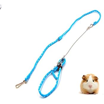 Adjustable Nylon Harness Vest and Leash Set Lead for Pet Dwarf Hamster ...