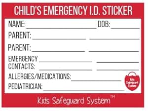 Amazon.com: Kids Safeguard System Emergency ID Kids Car Seat Stickers ...
