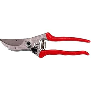Felco Model 4 Standard Secateurs: Amazon.co.uk: Garden & Outdoors