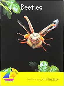 Amazon - Rigby Leveled Readers, 30 Title Set, Gr. 1-2 (Sails- Early ...