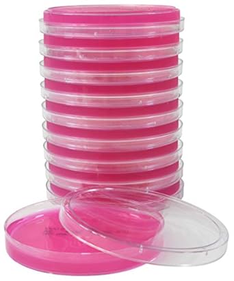 Dichloran Rose Bengal Chloramphenicol (DRBC) Agar, for The Detection of ...
