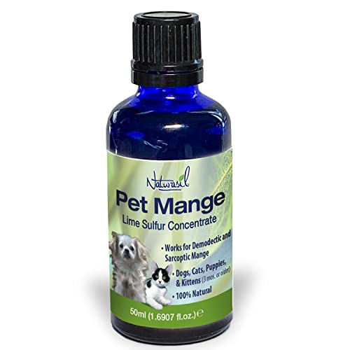 Sarcoptic & Demodectic Mange Relief Treatment by Naturasil ...