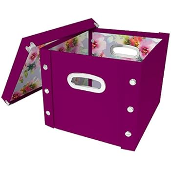 Amazon.com : Snap-N-Store Letter-Size File Box, Accommodates Standard ...