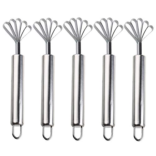 ONNPNN 5 Pieces Coconuts Scraper, Stainless Steel Coconut Meat Removal ...