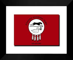 Amazon.com : Native American Eastern Shawnee Tribe Flag 20x24 Framed ...