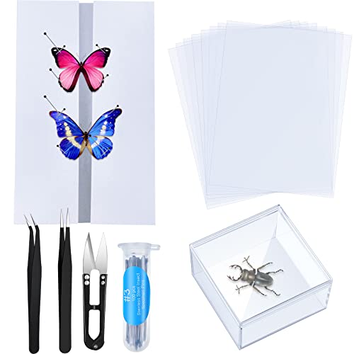 14 Pieces Insect Specimen Tools Kit Insect Display Case Box with Clear ...