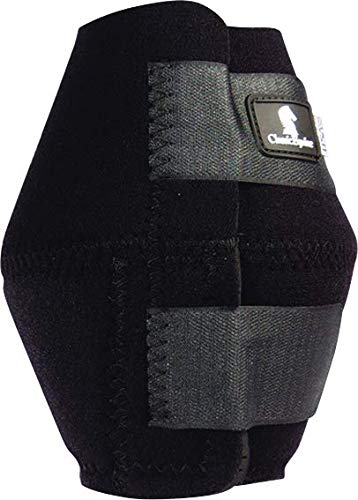 How To Choose The Best Horse Knee Boots - Horses & Foals