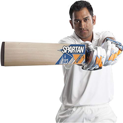 Spartan MSD SHER Premium Kashmiri Willow Cricket bat, Limited Edition ...