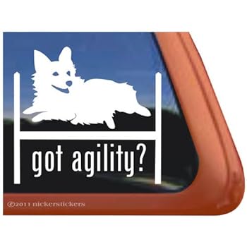 Amazon.com: Agility ~ Dog Agility Vinyl Window Auto Decal Sticker ...