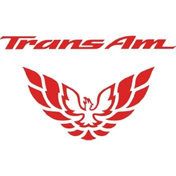Amazon.com: Trans Am Rear Panel Overlay Decal - 93-02 Trans Am - (Color ...