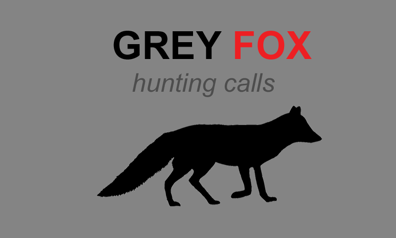 Gray Fox Hunting Calls & Predator Calls & Distress Calls - Fox Sounds ...