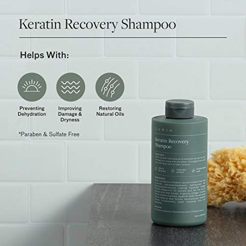 Lumin - Scalp Recovery Set for Men - Recovery Shampoo, Keratin ...