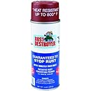 Advanced Protective Products Rust Destroyer Oil Base Red Primer Spray ...