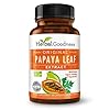 Papaya Leaf Extract Capsules 10X Strength - 60/600mg Veg Capsules ...
