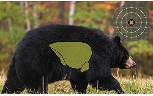 Amazon.com : SME Target Bear Target : Sports & Outdoors