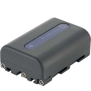 Amazon.com : Sony DSLR-A100 Digital Camera Battery Lithium-Ion (1600 ...