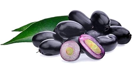 Creative Farmer Fruit Seeds Plum Fruit Seeds - Jambul Fruit Seeds Fruit ...
