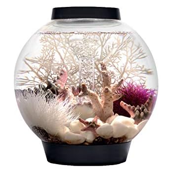 Amazon.com : EcoSphere Small Sphere : Aquariums : Pet Supplies