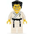 Amazon.com: LEGO - Minifigures Series 2 - KARATE MASTER : Toys & Games