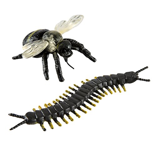 Safari Ltd. Insects TOOB - 14 Mini Figurines: Caterpillar, Dragonfly ...