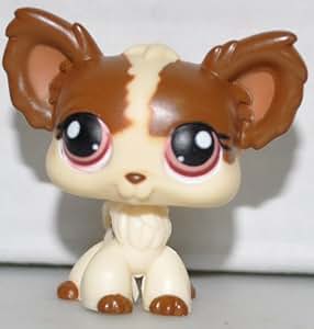 Amazon.com: Chihuahua #385 (Cream, Pink Eyes, Brown Accents) Littlest ...