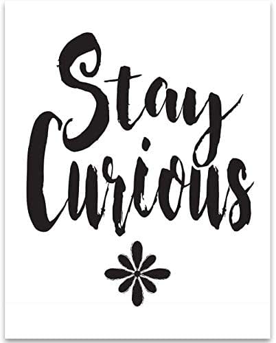 Amazon.com: Stay Curious - 11x14 Unframed Typography Art Print Poster ...