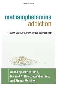 Methamphetamine Addiction: From Basic Science to Treatment ...