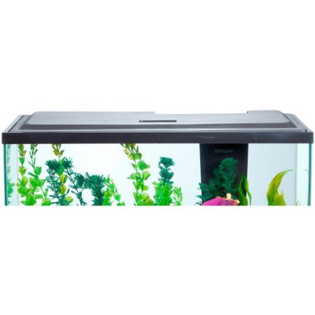 Best Aquarium Hoods - Reviews and Options 2023 | A Little Bit Fishy