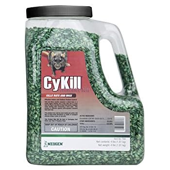 Amazon.com : Ramik 698857 Diphacinone Rodenticide Bait, 1, 1 : Garden ...