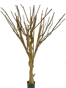 Artificial tree trunk with branches, leafless, brown, 7 ft / 220 cm ...