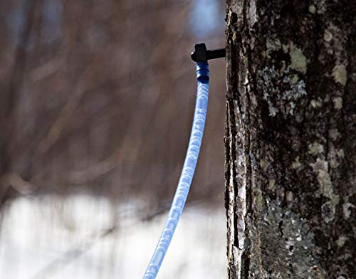 10 Maple Syrup Tree Tapping Kit - 10 Taps + 2-Foot Drop Lines ...
