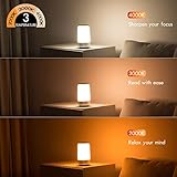 Best Dimmable LED Night Lights In 2019 Reviews | Buyer's Guide