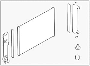 Amazon.com: Nissan 21460-1AA0A Radiator Assembly : Automotive