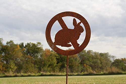 Amazon.com: No Rabbits Allowed Bunny Prevention Rustic Garden Stake 22 ...