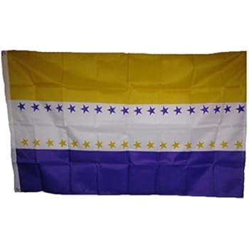 Amazon.com : 3x5 19th Amendment Victory Flag Women's Suffrage Right to ...