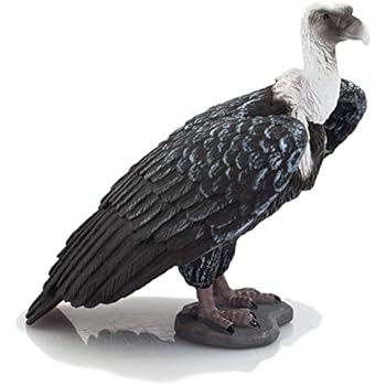 Amazon.com: MOJO Griffon Vulture Toy Figure: Toys & Games