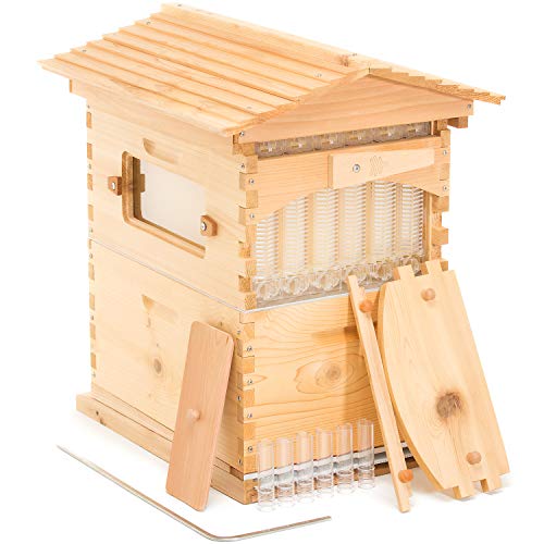 Flow Hive Classic - Cedar 6 Frame Bee Hive With Patented Flow Frames ...