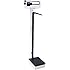Amazon.com: Healthometer 402KL Physician Beam Scale w/ Height Rod (390 ...