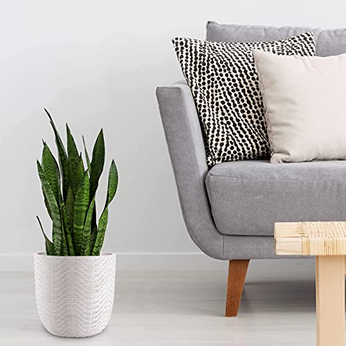 INSPIRELLA Timeless Plant Pot – 6.5" Stunningly Detailed Ceramic Pots ...