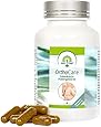 OrthoCare Gelenk-Aktiv Powergewürze (120 Veggie-Caps): Amazon.de ...