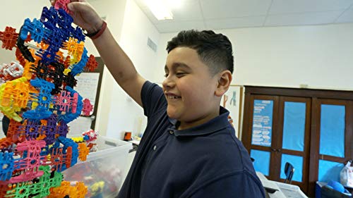 Lux Blox Build Anything Bin - 1000 Pieces of 10 exciting Color Blocks ...