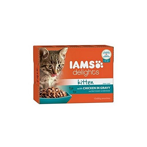 Iams Kitten