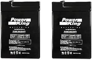 6V 4.5AH SLA Replacement Battery for Coleman 5348 Lantern (2) Pack ...