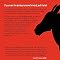 Provocative Coaching: Making Things Better By Making Them Worse: Amazon ...