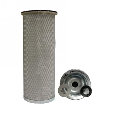 Amazon.com: Air Filter - Baldwin - PA3950; Fleetguard - AF25356; Massey ...
